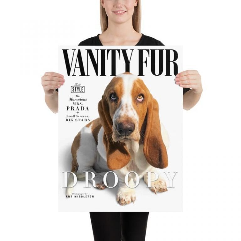 Vanity Fur – Posing Pig